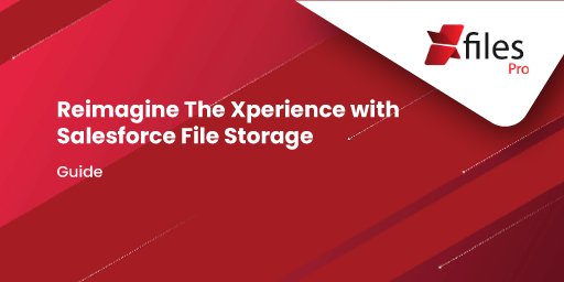 Salesforce File Storage Management With XfilesPro Salesforce File Storage Management With XfilesPro